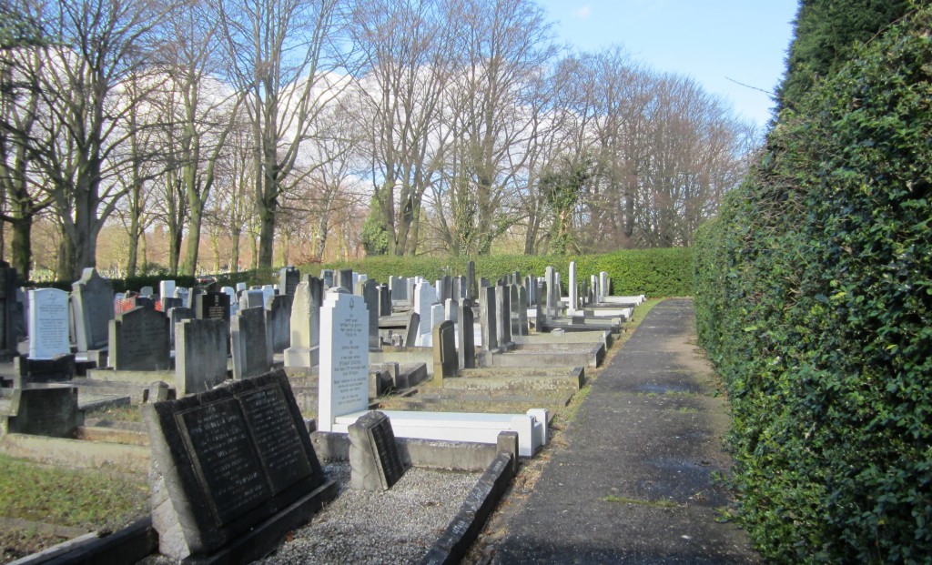 Introduction to Jewish Gilroes - Jewish Gilroes